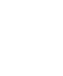 About – Kognitive Networks